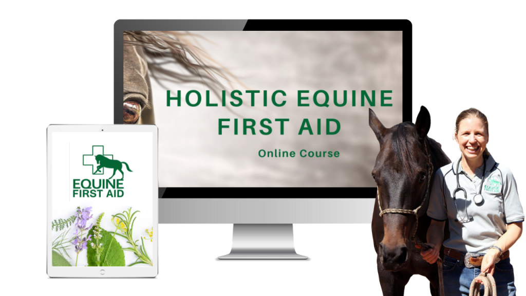 Equine First Aid – putting knowledge in your hands