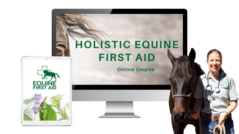 Equine First Aid – putting knowledge in your hands